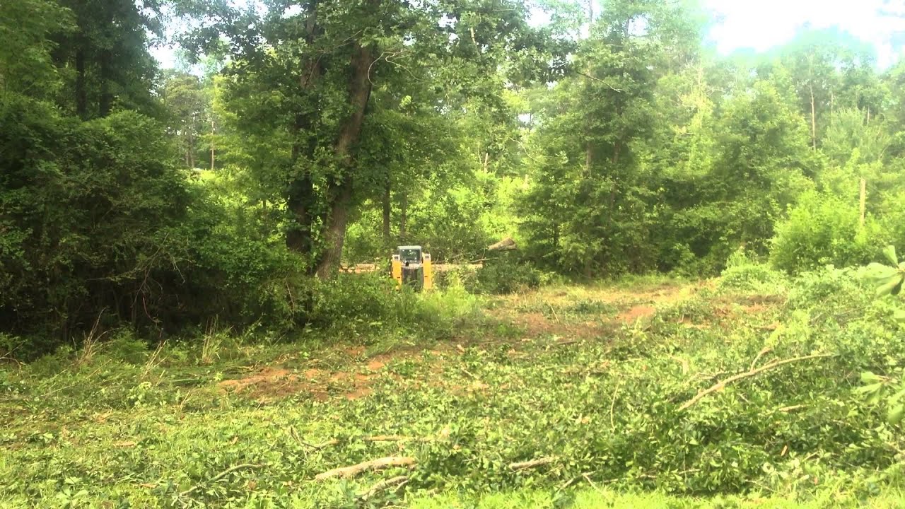 Track Loader Moving Trees - YouTube
