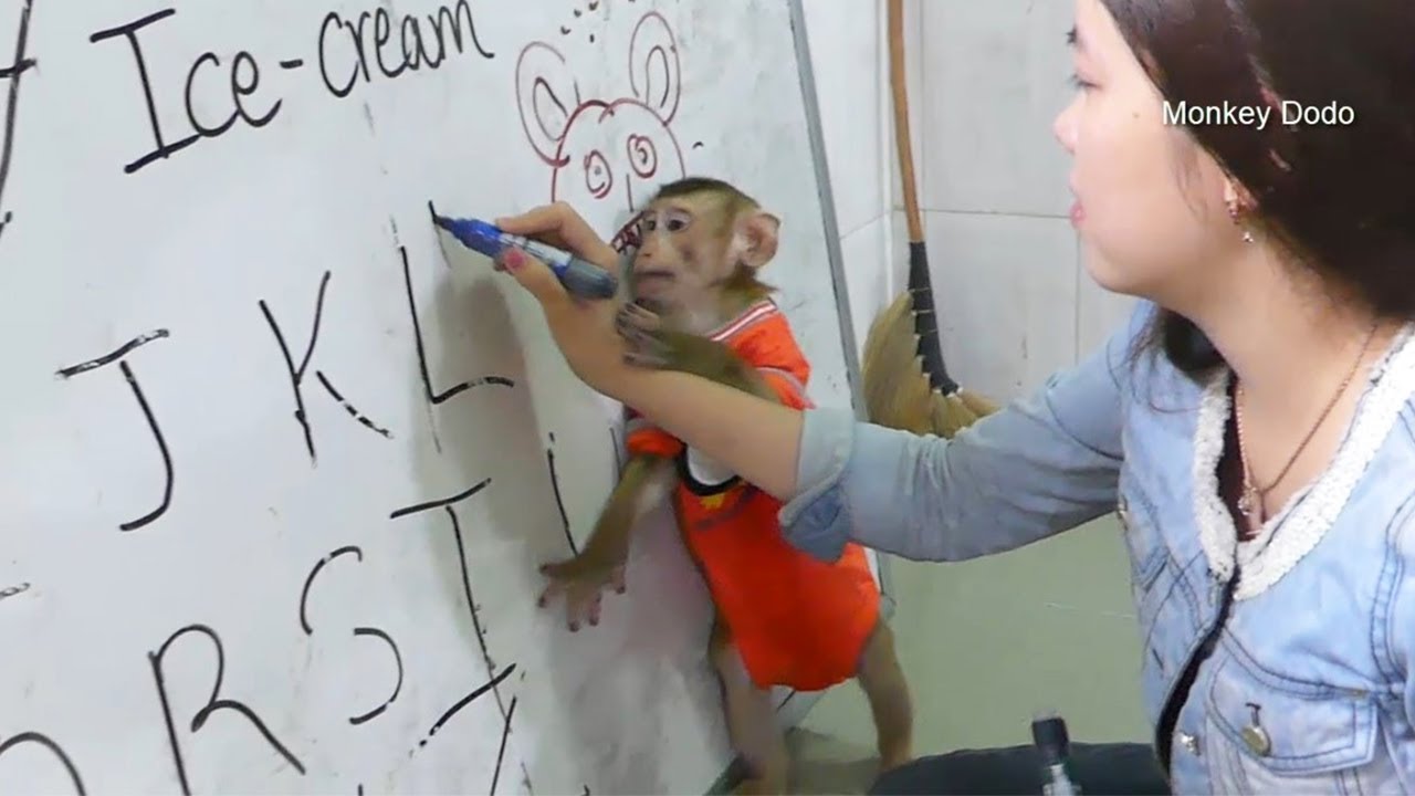 Wow Baby Monkey Dodo Learn English With Mama - YouTube