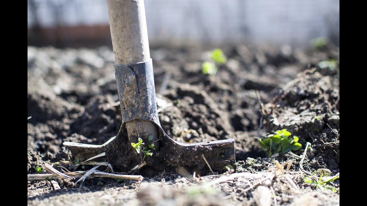 July 11 2021: Digging Up The Yard - YouTube