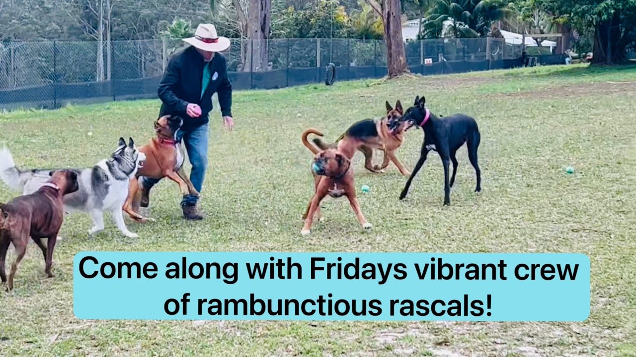 Come along with Fridays vibrant crew of rambunctious rascals on a ...