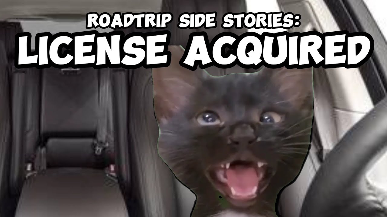 CAT MEMES: LICENSE ACQUIRED PT.3| Roadtrip Side Stories - YouTube