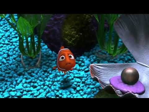 DENTISTA NEMO LATINO