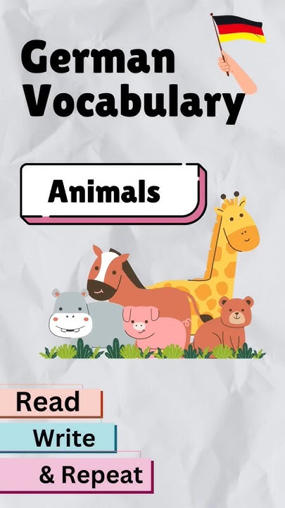 Animal Names In German 🇩🇪 #learngerman #germancourse #germanculture ...