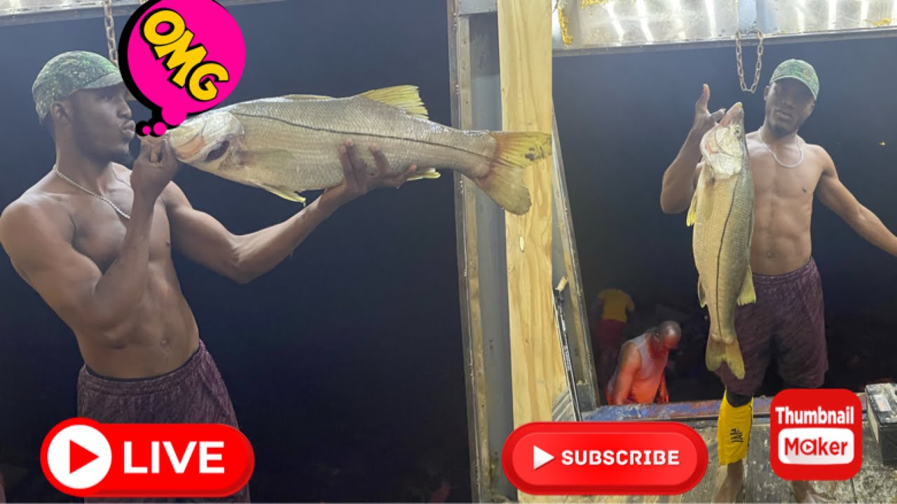 🇯🇲 Epic jamaica night fishing. Snook, mullet and makaback catch. MUST ...