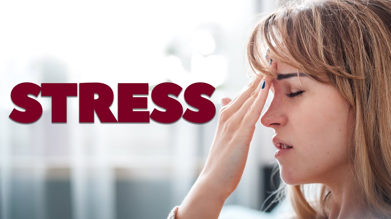 Try This 12 Minute Guided Meditation for Stress Relief - YouTube