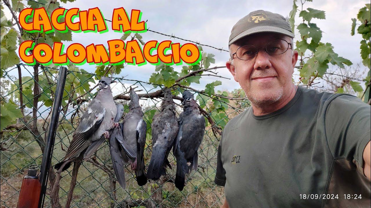 A Caccia di Colombacci sotto il Gigante Buono - Rientro Settembre 2024 ...