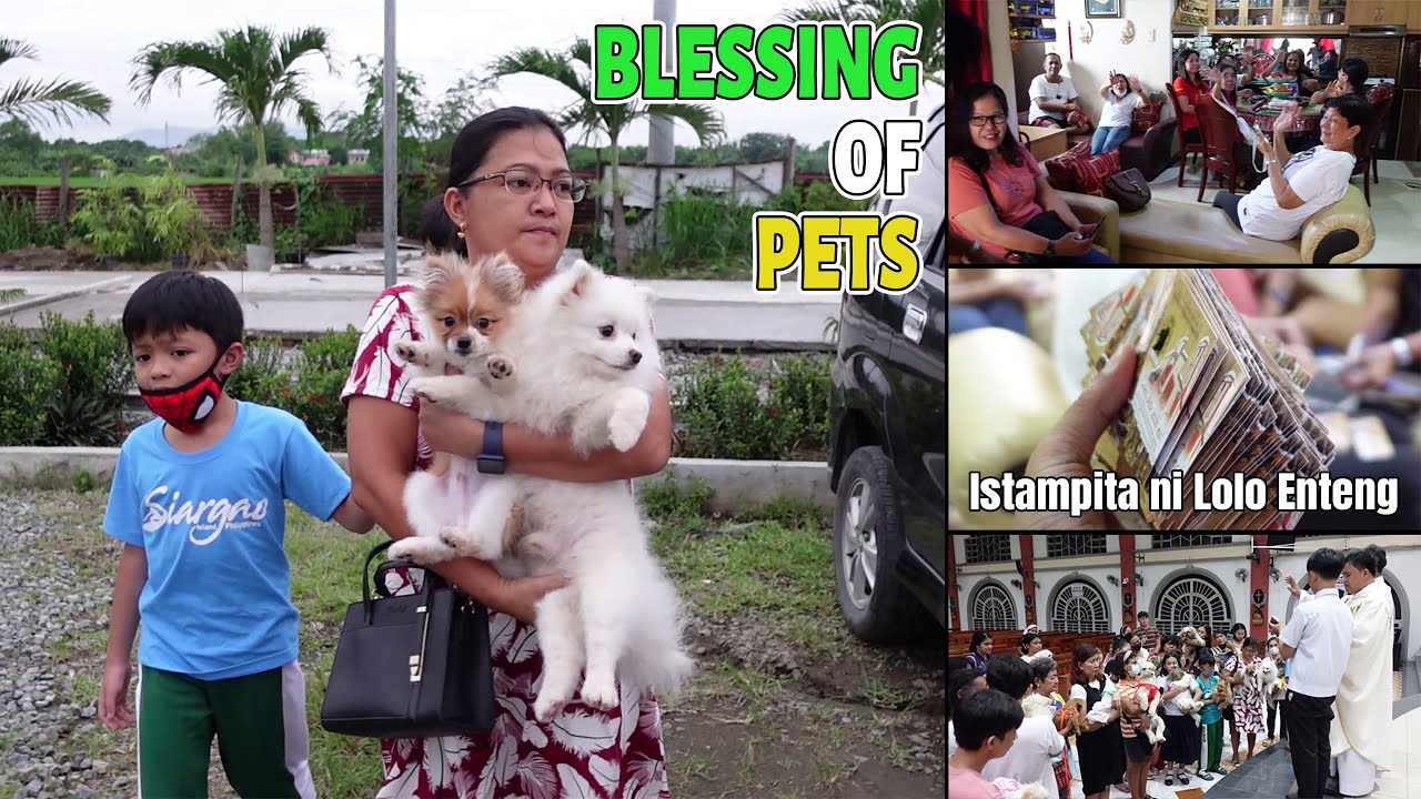 Nagdikit ng 3rd Class Relic sa Istampita and Blessing of Pets sa Feast ...