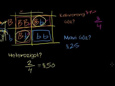 Kalıtım / Genetik Konu Anlatımına Giriş (Biyoloji)