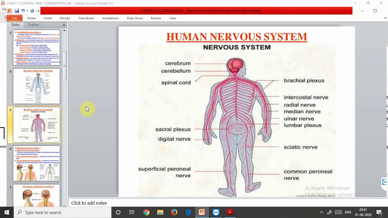 Class 10th - Science - Chapter 7 - Part 1 - YouTube