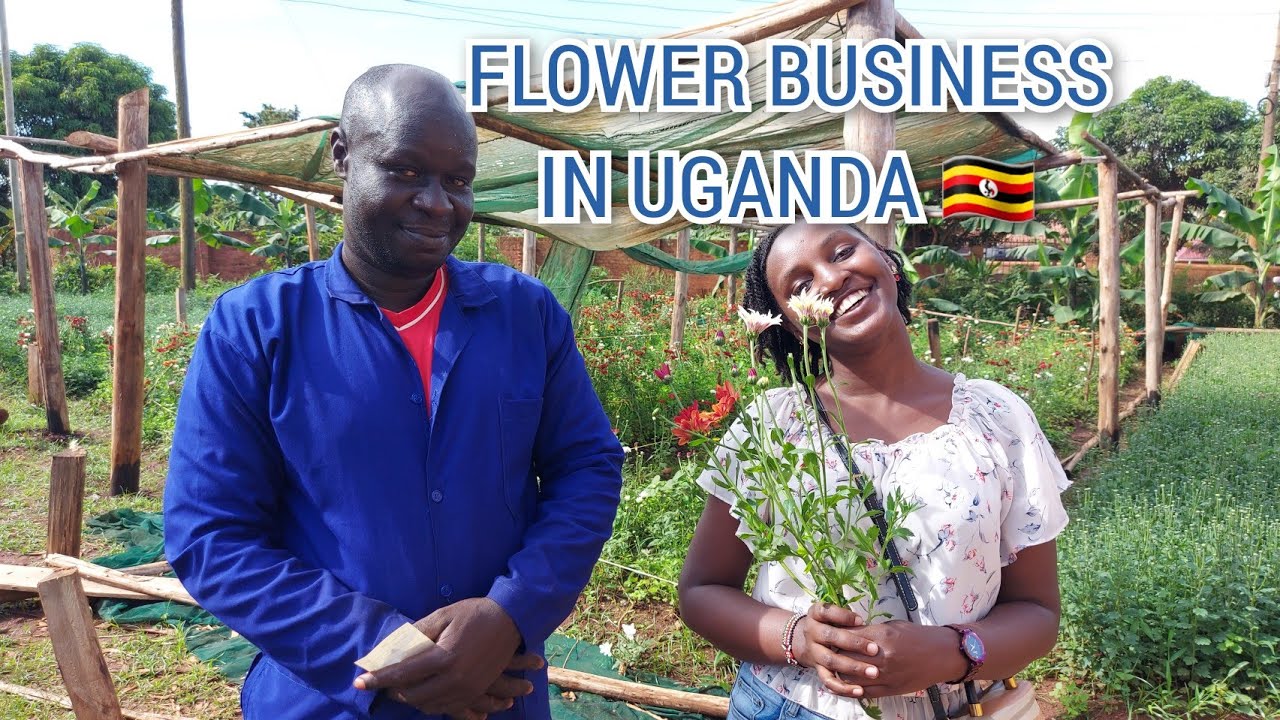 Turn 500k to 2m with Flower Farming /133dollars Can make you A ...