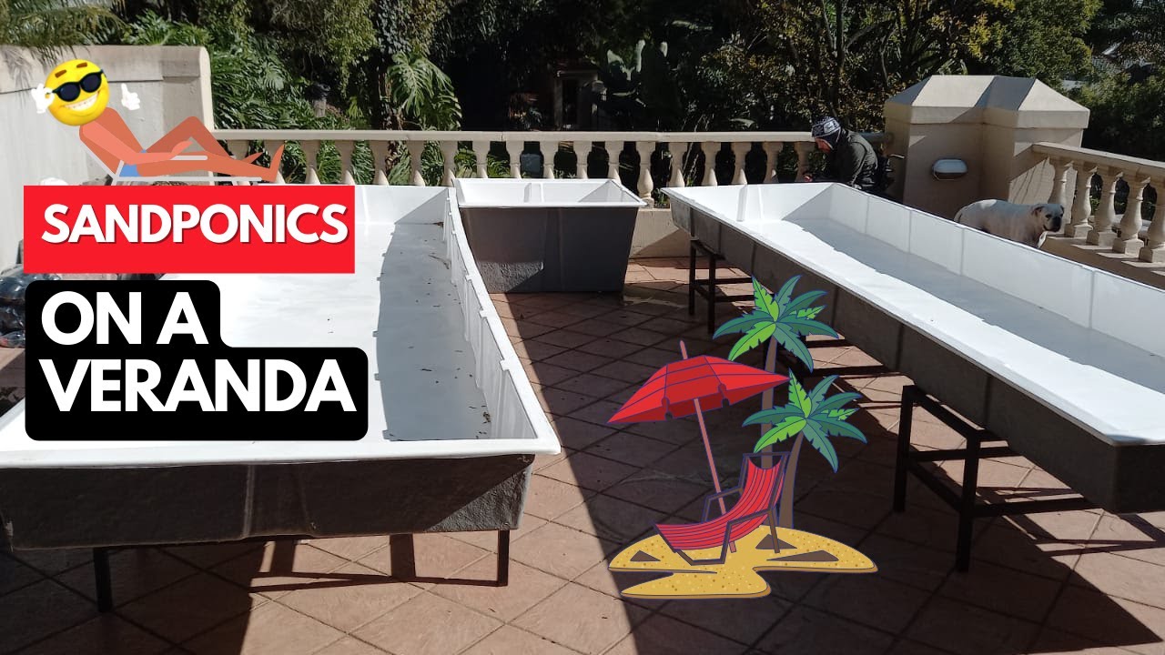 Sandponics on top of a Veranda : South Africa - YouTube