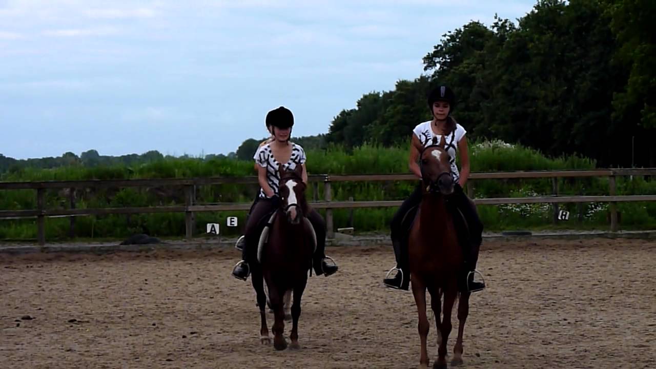 Het Lamoen week 4 - YouTube