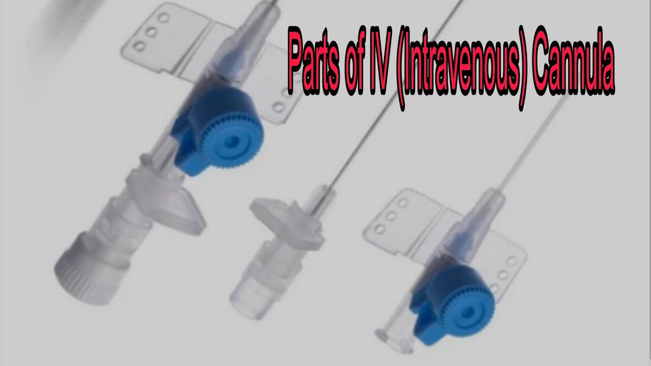 Parts of IV (Intravenous) Cannula - YouTube