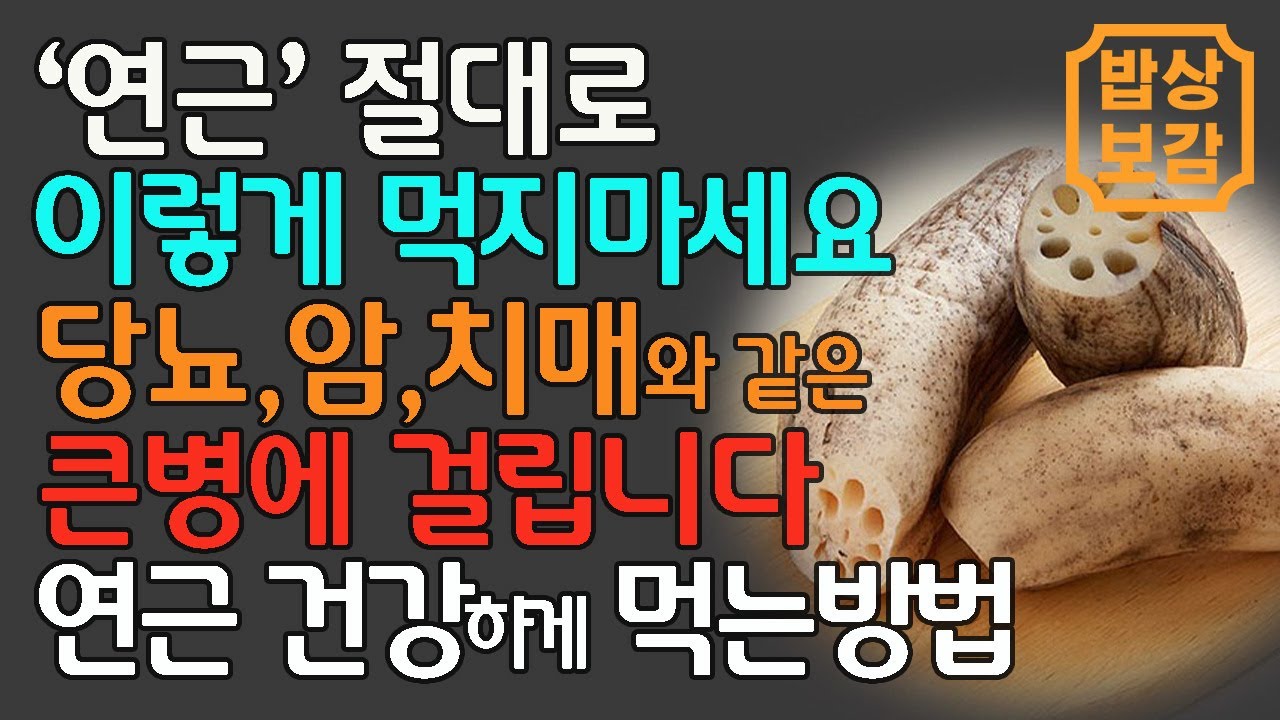 연근 절대로 이렇게 먹지 마세요 당뇨암치매와 같은 큰병에 걸립니다 연근 건강하게 먹는 방법 이렇게 먹어야 당뇨 암