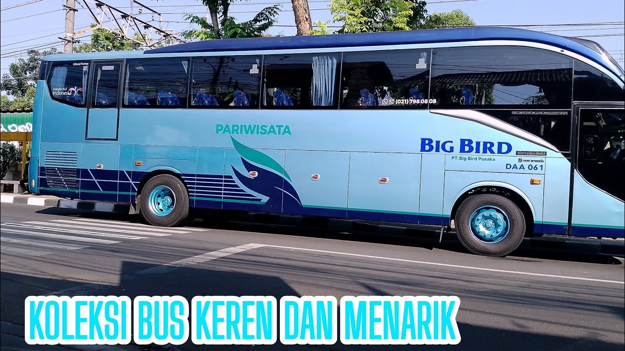 Bus andalan untuk piknik atau pariwisata ke seluruh Indonesia 🇮🇩 - YouTube