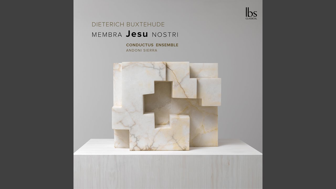 Membra Jesu nostri, BuxWV 75, Ad latus "Surge amica mea": III. Salve ...