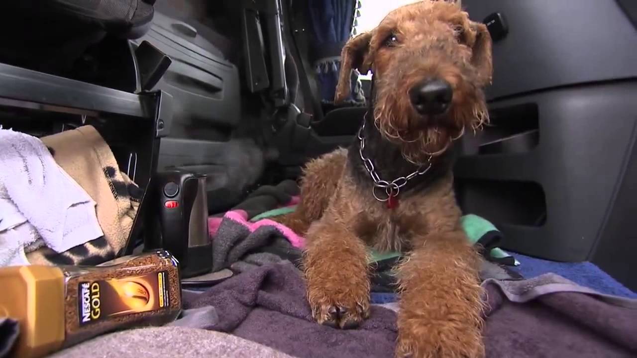 Asphalt Cowboys feat Gunter Gabriel,Piet Hackmann - YouTube