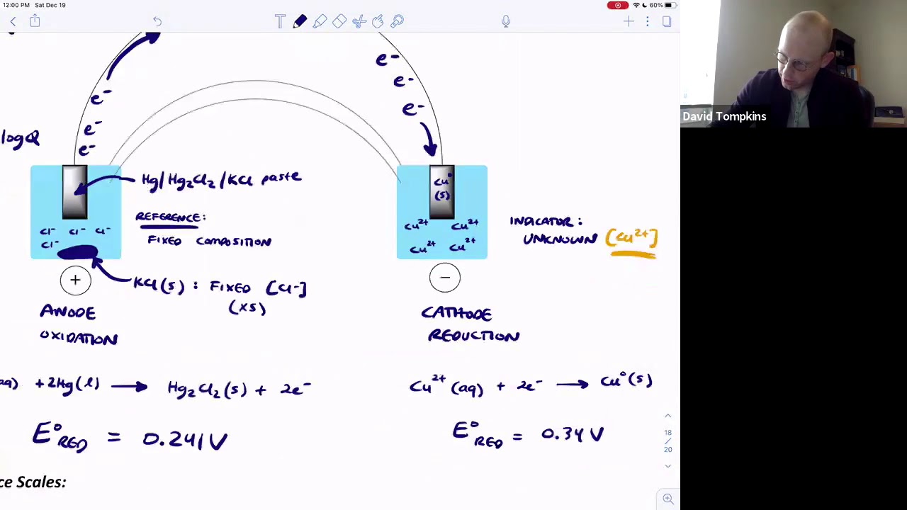 Electrochemistry: Saturated Calomel Electrode & Reference Scales - YouTube
