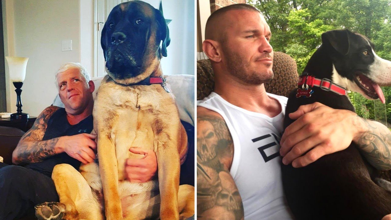 WWE Superstars And Their Dogs / Pets - YouTube