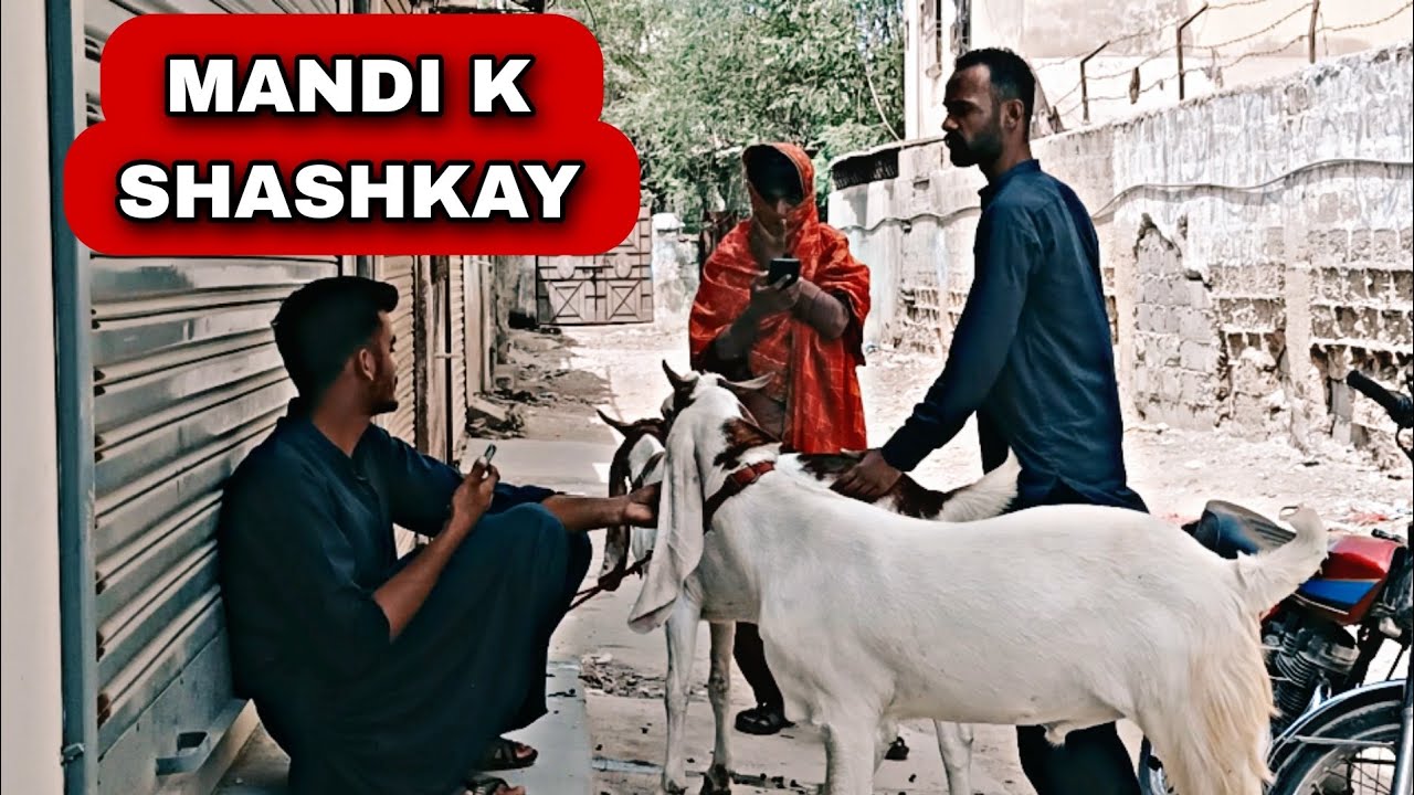Mandi k Shashkay | SASTI REAL TEAM | short funny video - YouTube