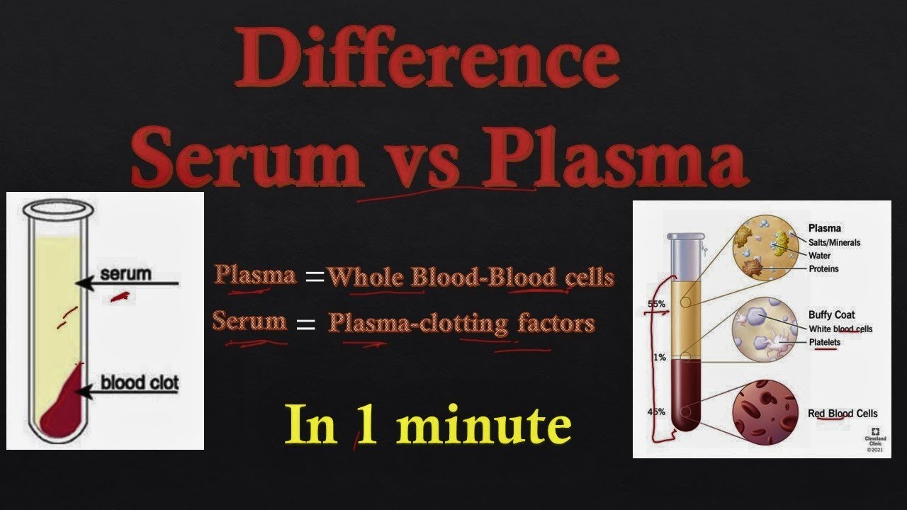 Plasma vs Serum | Difference Between Plasma and Serum in Hindi ...
