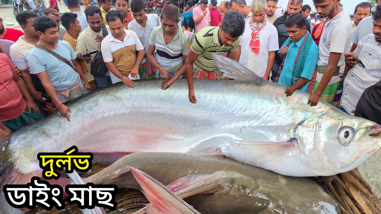 ৫০ হাজার টাকার মাছ কিনে মহা খুশি ক্রেতা 😱 DN Eyes | ডাইং মাছ | big ...