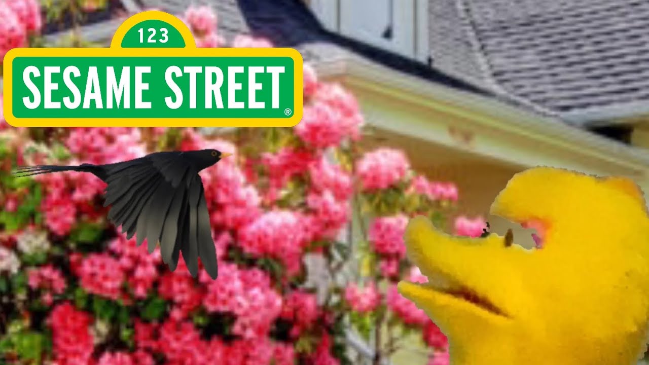 Sesame Street is and spring - YouTube