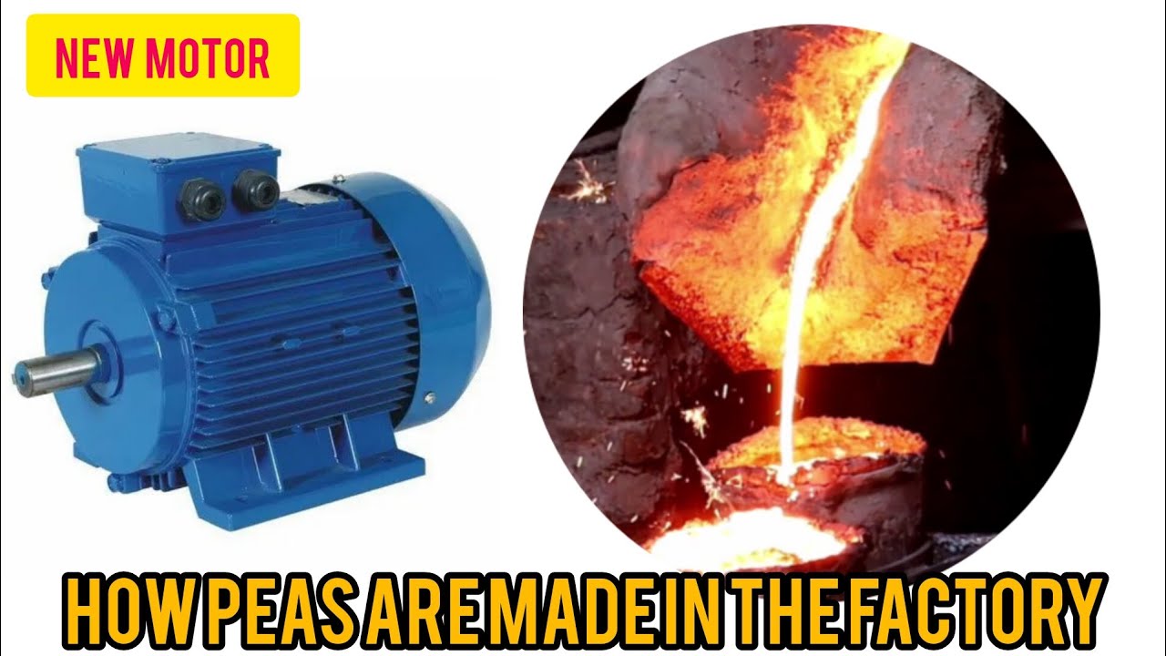 How peas are made in the factory - YouTube