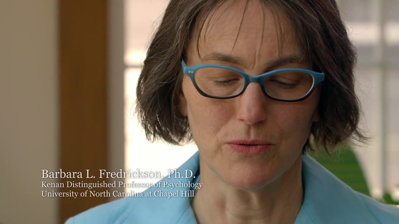 Resilience Overview Documentary - YouTube