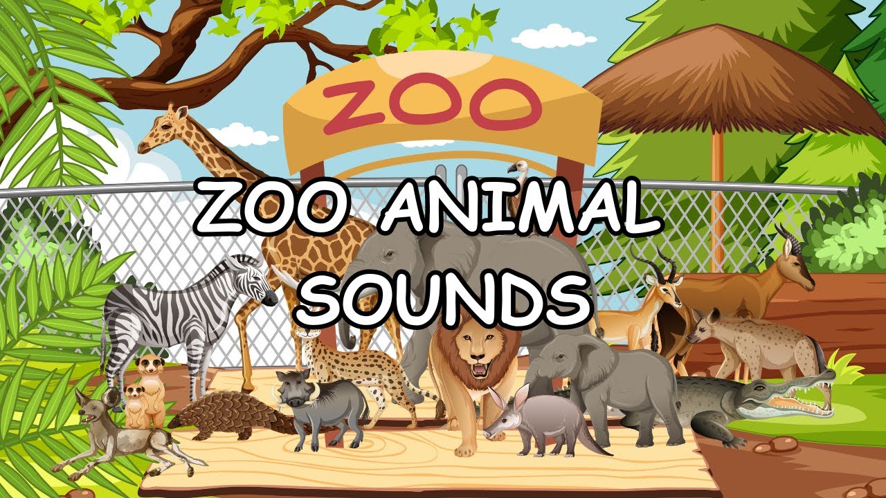 Animal Sounds at the Zoo: Animal Sounds for Kids | Nursery Rhymes for ...