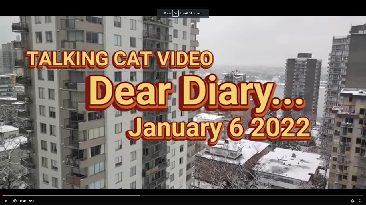 TALKING CAT VIDEO - DEAR DIARY... JAN 6 2022 - YouTube