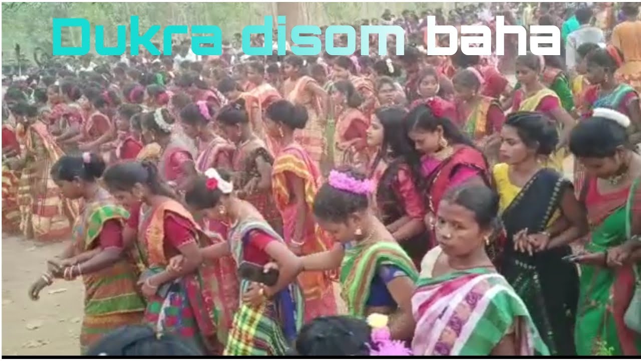 Dukra disom jaher baha anej 🌿2023 Santali biggest festival baha anej 🌼# ...