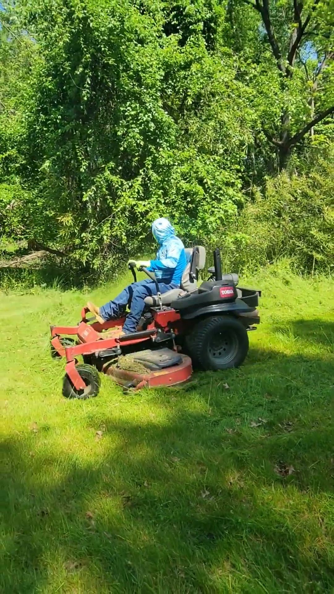 pasto alto parte 21 #nature - YouTube