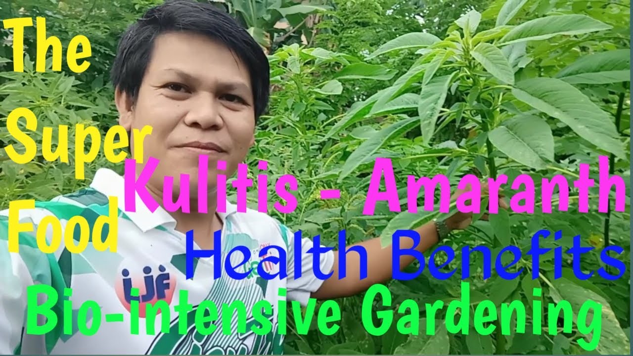 Kulitis - Amaranth The Super Food #BiointensiveGardening - YouTube