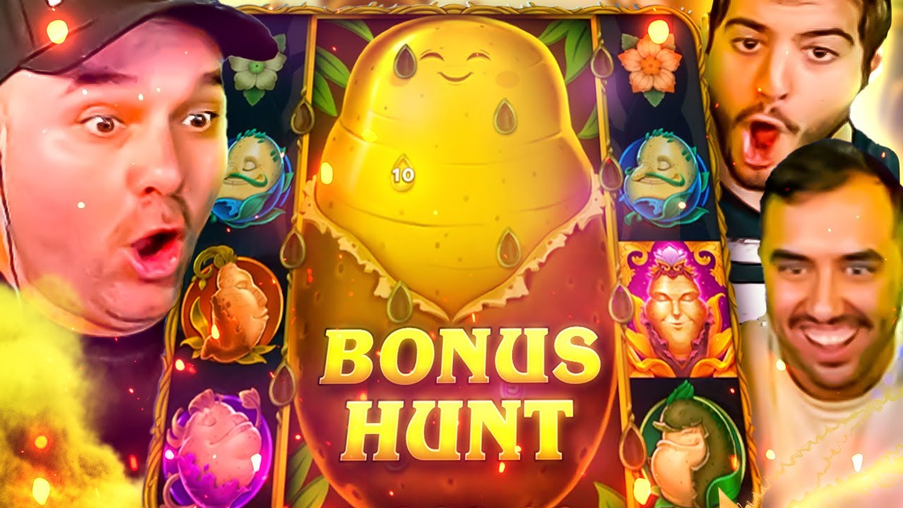 REVENTANDO LA ROYAL POTATO !!! OPENING BONUS HUNT - YouTube