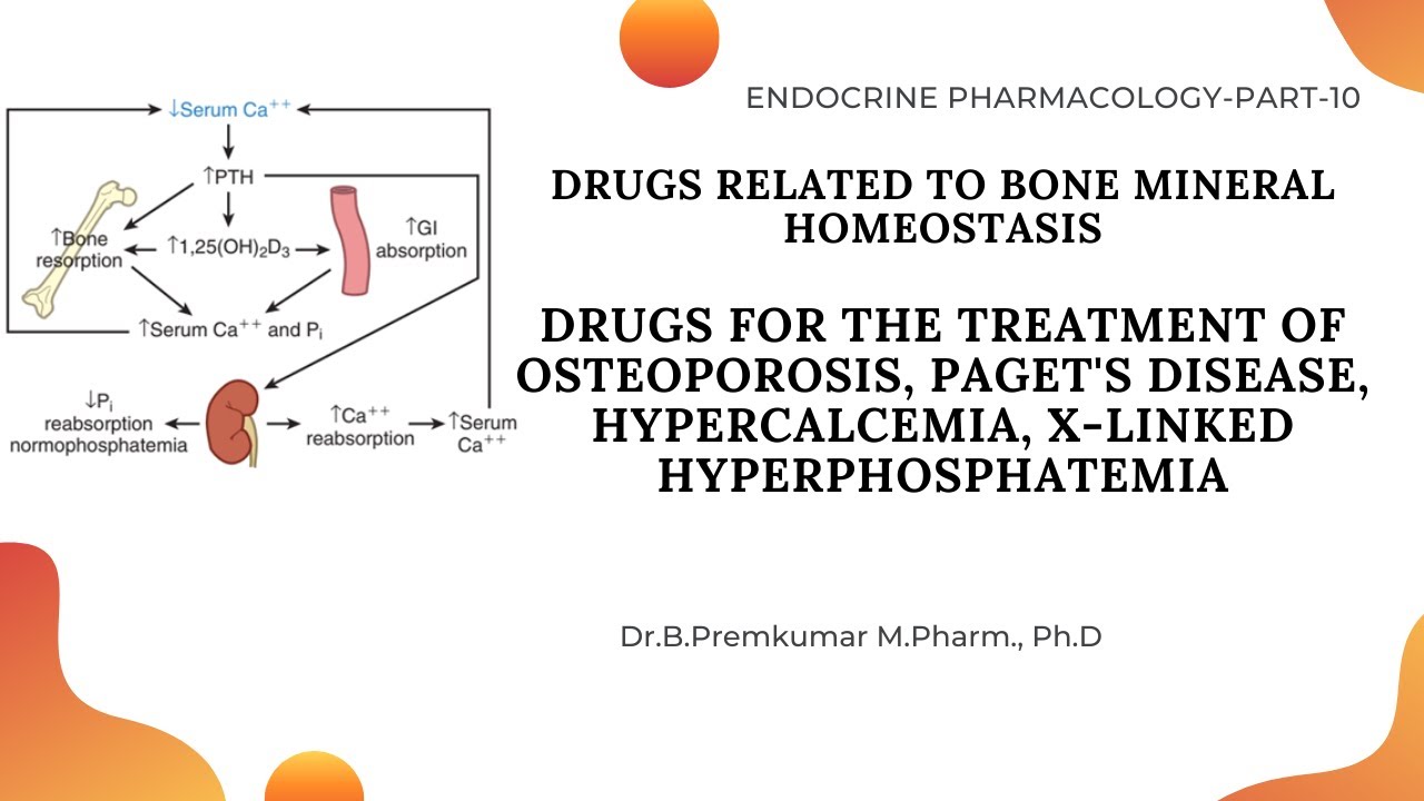Drugs acting on Bone Mineral Homeostasis-Drugs for Osteoporosis-Endo ...
