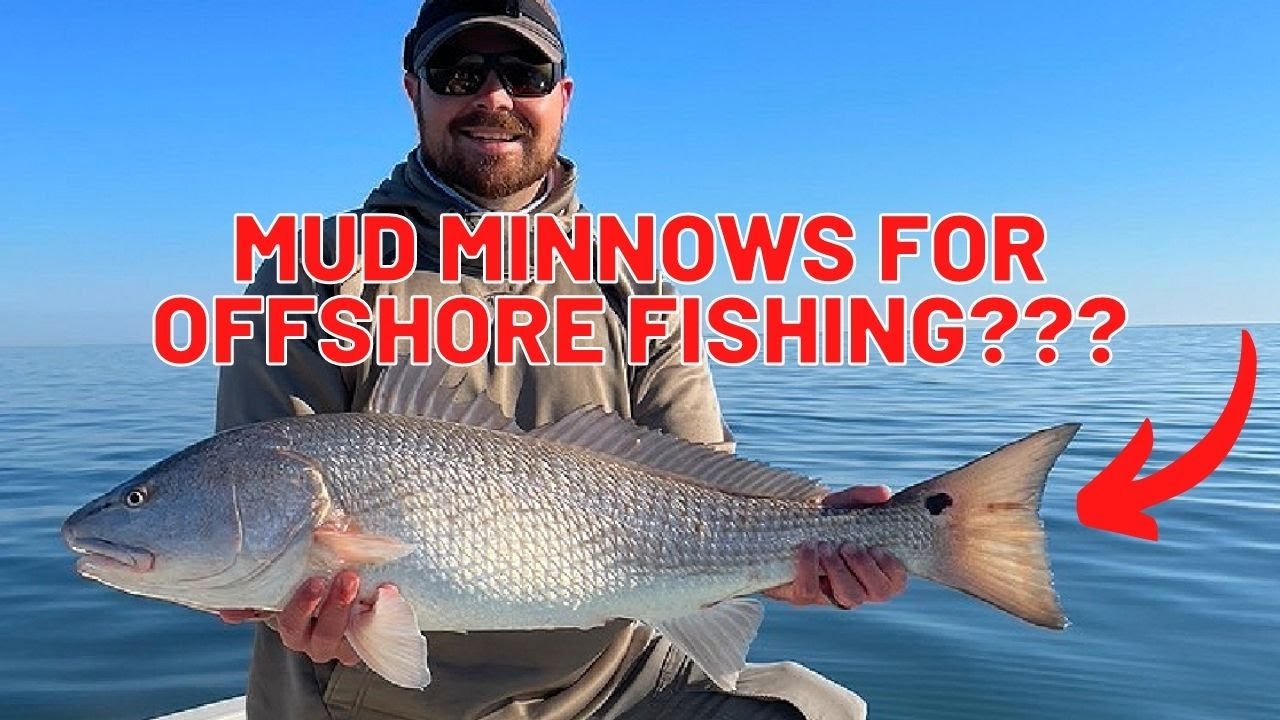 Can You Use Mud Minnows For Offshore Fishing? - YouTube