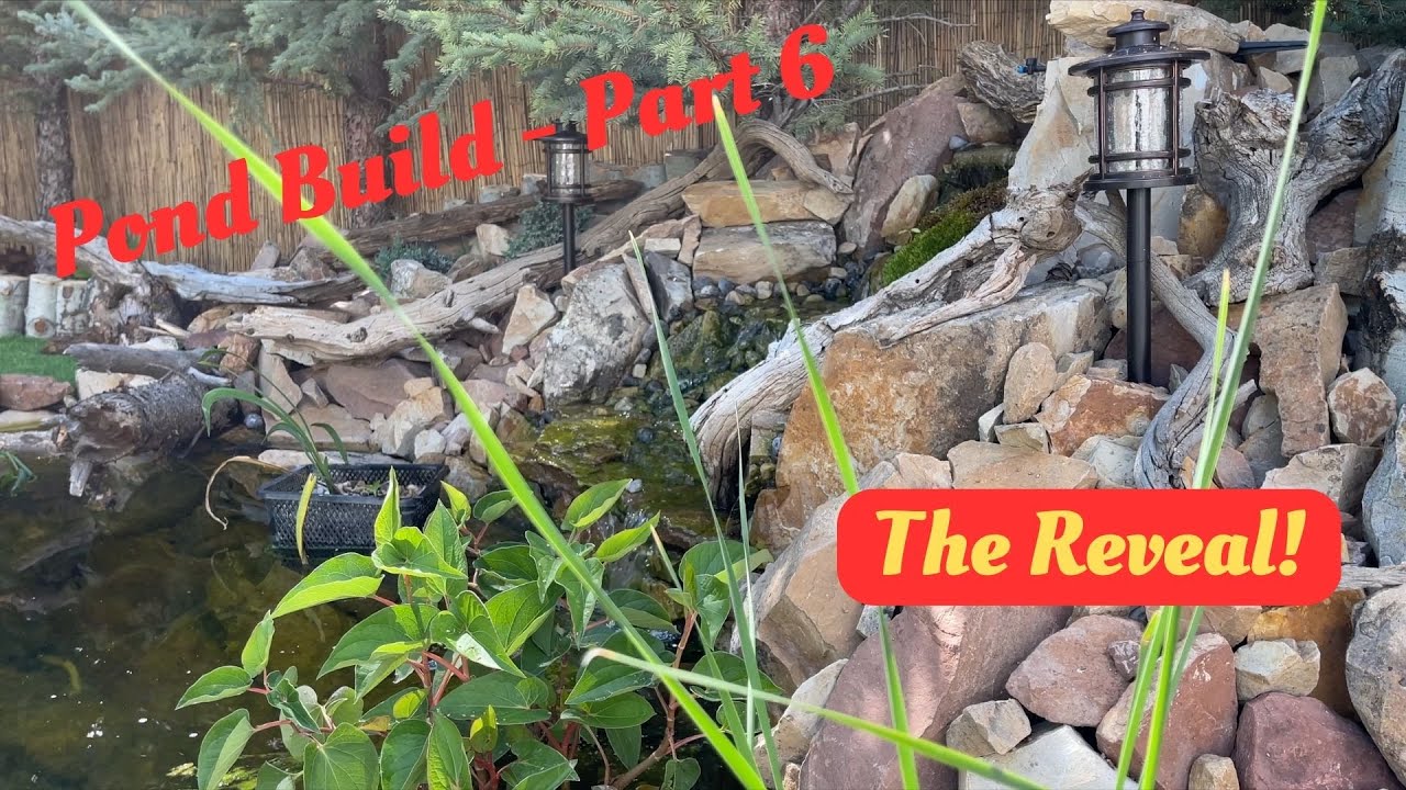 Pond Build Part 6 - The Reveal! - YouTube