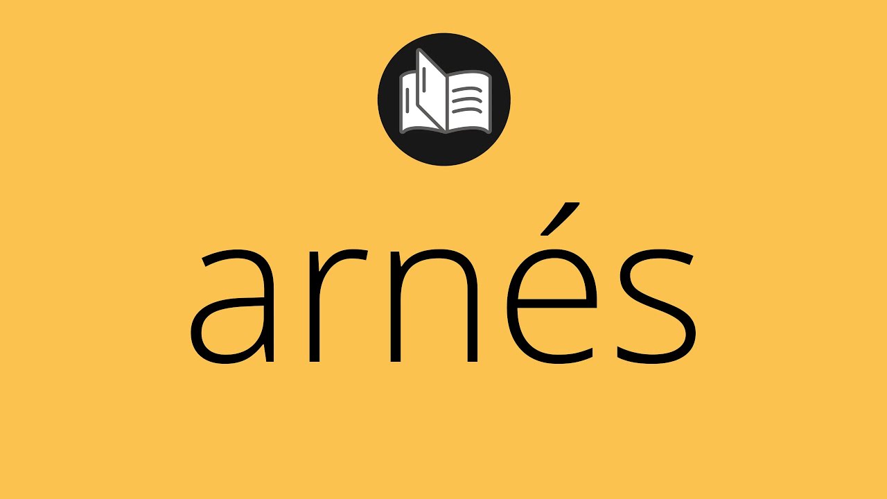 Que significa ARNÉS • arnés SIGNIFICADO • arnés DEFINICIÓN • Que es ...