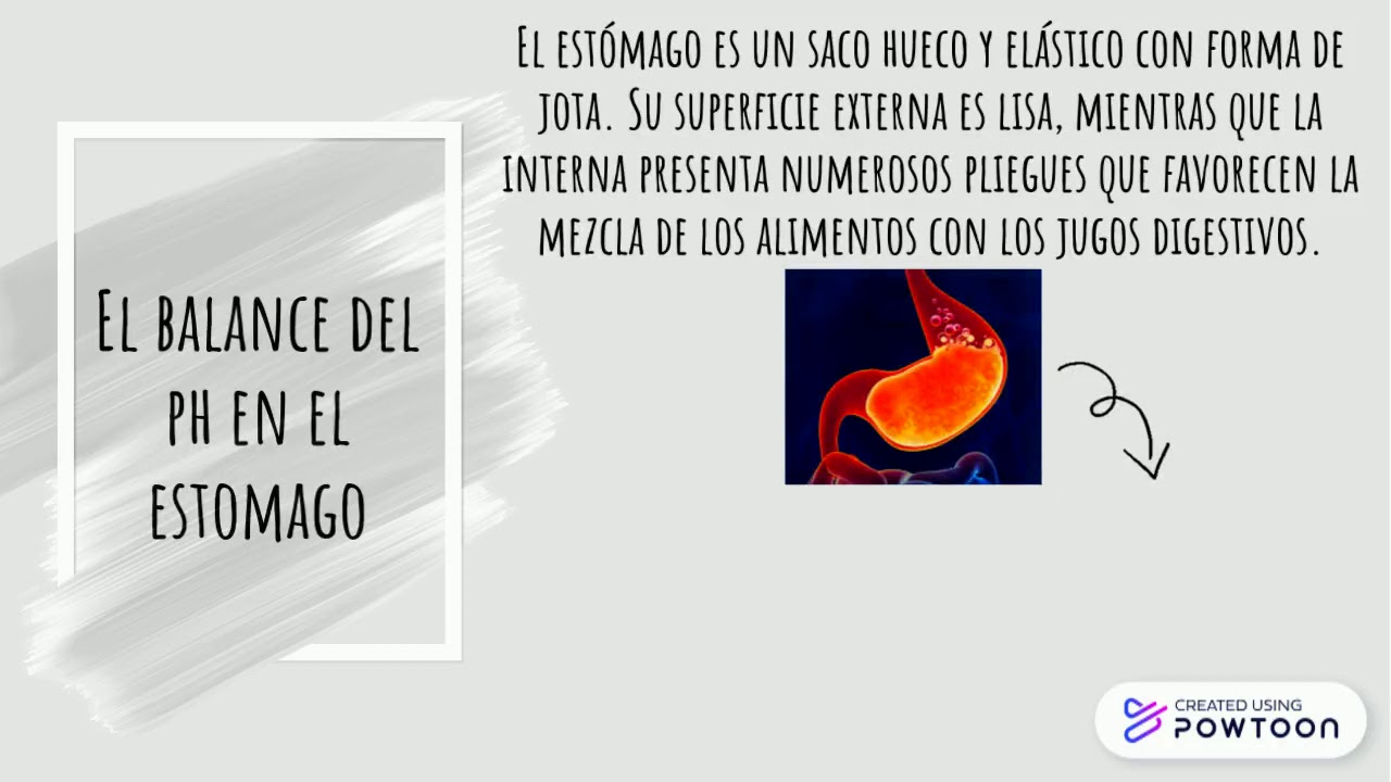 LOS ANTIÁCIDOS Y EL BALANCE DEL PH EN EL ESTOMAGO - YouTube