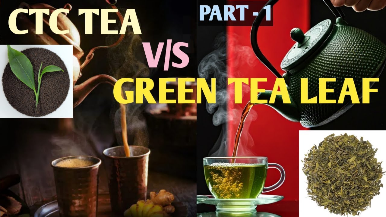 Green Tea vs CTC Tea:Factory Process Revealed ग्रीन टी और CTC चाय #explore #greentea #tea # ...