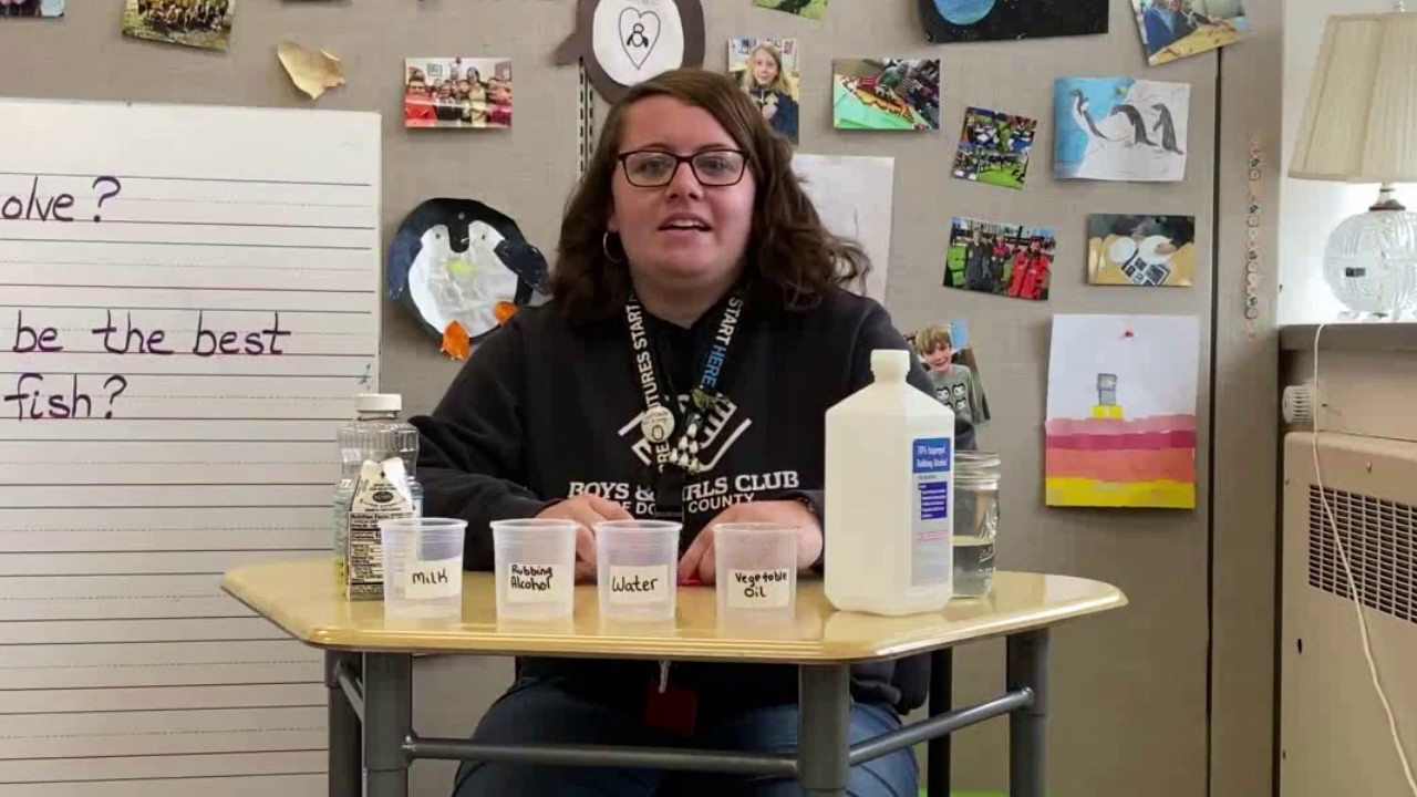 Candy Experiments with Ms. Miranda - Swedish Fish - YouTube