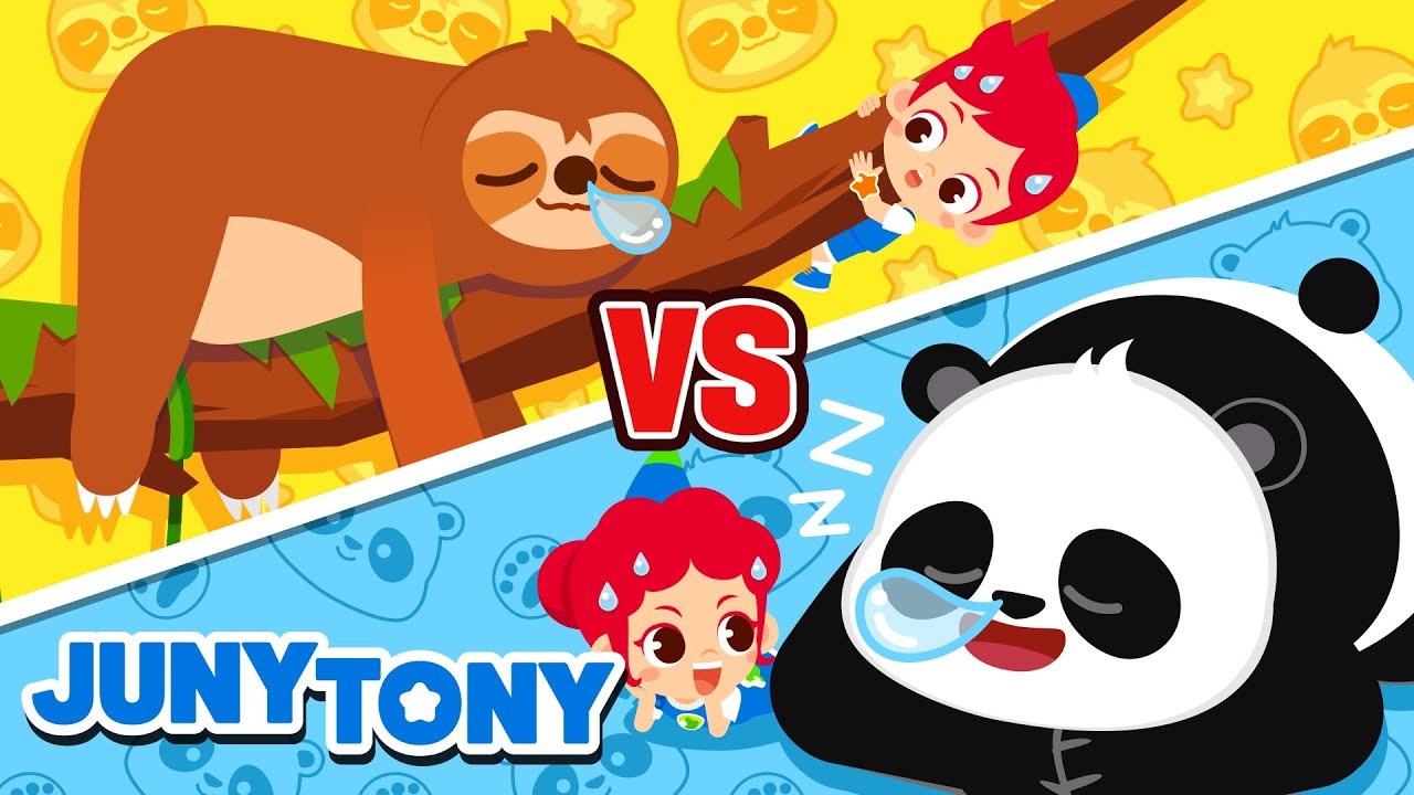 Panda vs. Sloth | The Laziest Animal on Earth | Animal Songs | Kids ...