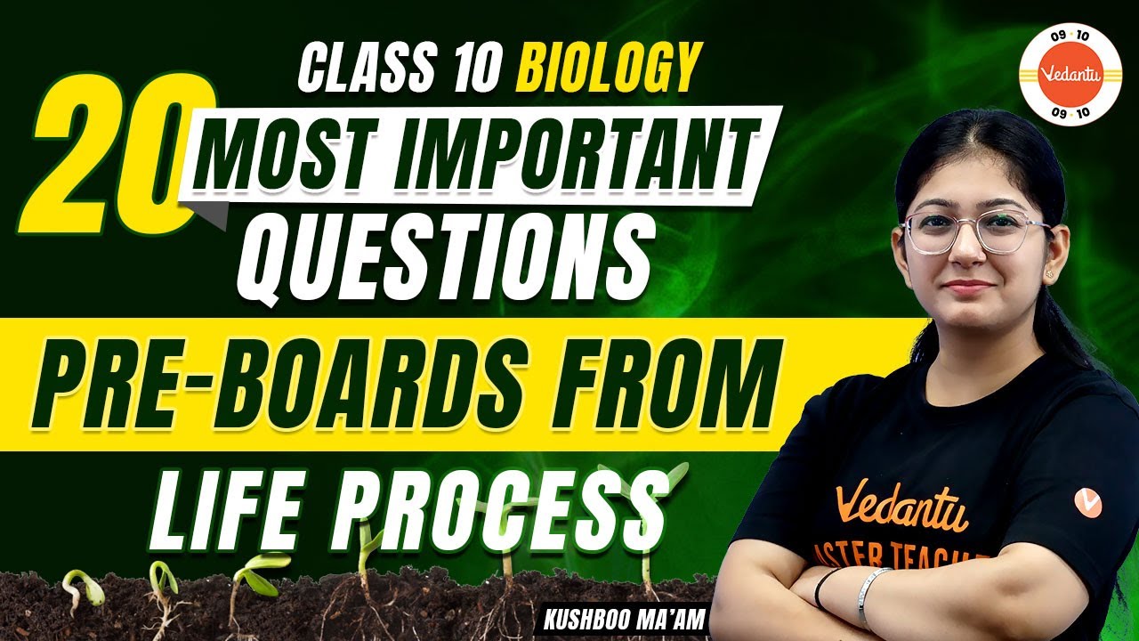 Life Processes Class 10 Science Biology: 20 Most Important Questions ...