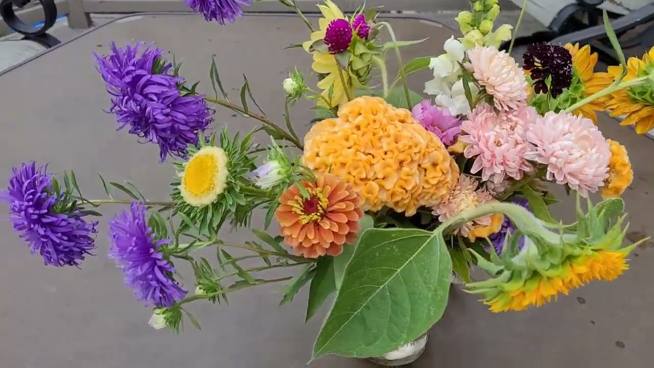 Found a U-Pick Flower Farm - This is a Gardeners Dream - YouTube