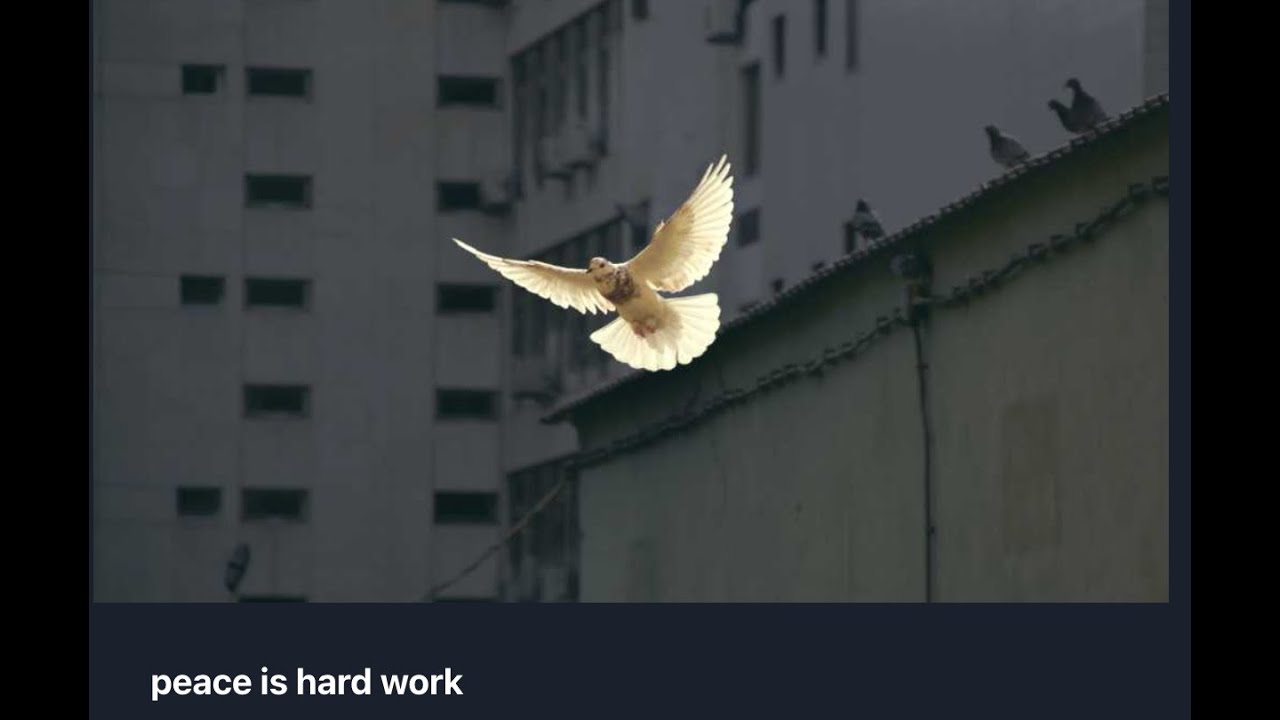 11/12/2023 Peace is Hard Work! - YouTube