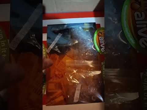 Yasaeng Ana Arı Üretim seti Yedek Parçalarım Geldi.İnşaallah Kaliteli Analar Üretmek Nasip Olur. 🐝🇹🇷