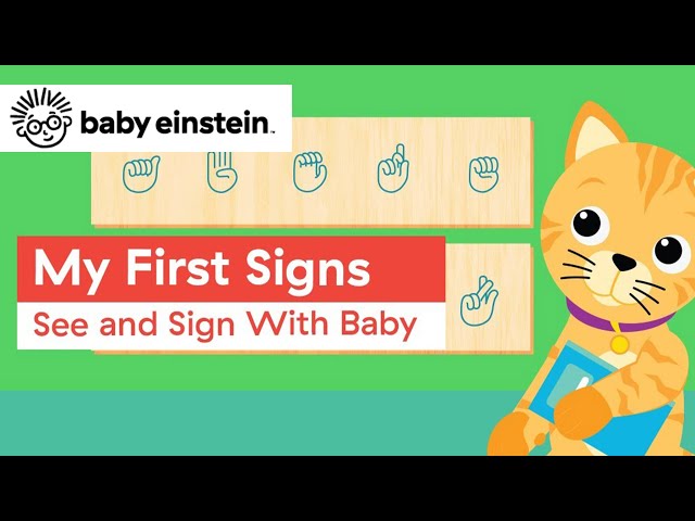Baby Einstein My First Signs001 Baby Signs Baby Einstein Sign