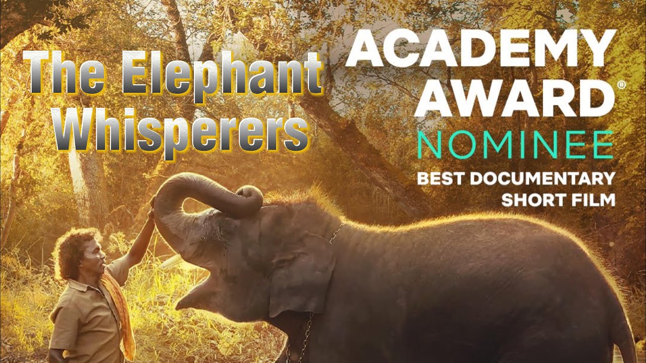 The Elephant Whisperer | Academy Awards - Award | Oscar Winner In Best ...