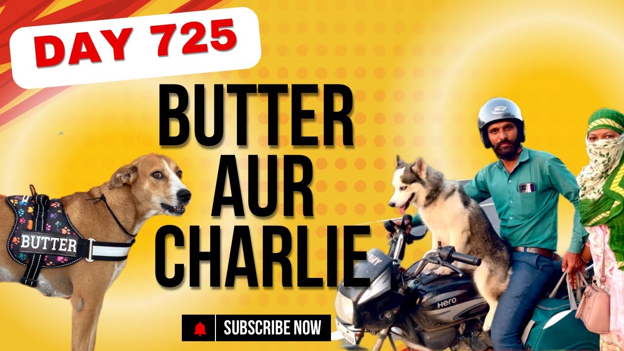 DAY 725 : DAMINI : CHAR DHAM WALK WITH BUTTER - YouTube